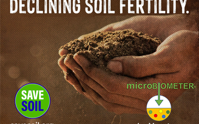 Save Soil Foundation | Tacking Global Soil Desertification